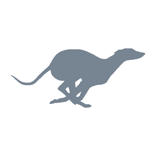 Green Road Greyhound Runner Profile - Next Race, Form, Stats, News ...