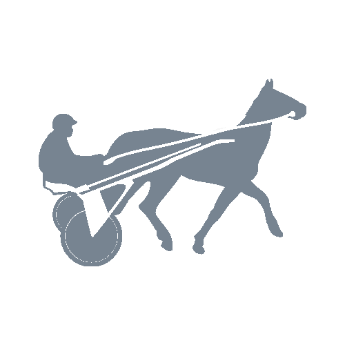 H C Andersen Harness Runner Profile - Next Race, Form, Stats, News ...