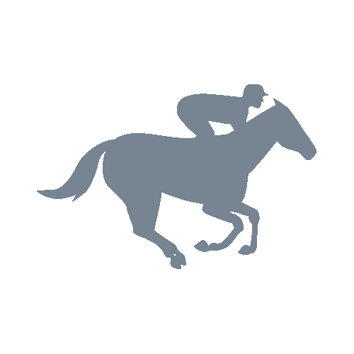 Hokuto Adamas Thoroughbred Horse Profile - Next Race, Form, Stats, News, Breeding | Racing and ...