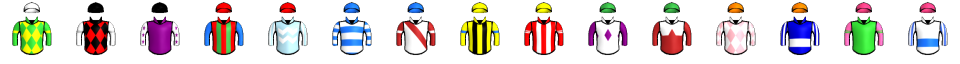 R7 Niigata - Allowance Race - Stake.com