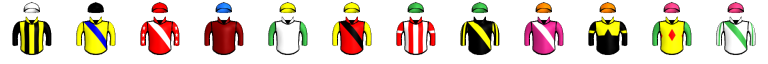 R8 Funabashi - Race 8 - Stake.com