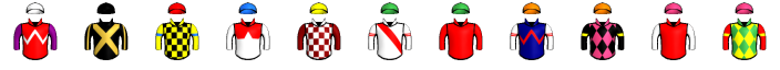 R7 Saga - Race 7 - Stake.com