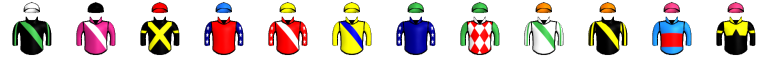 R8 Funabashi - Race 8 - Stake.com